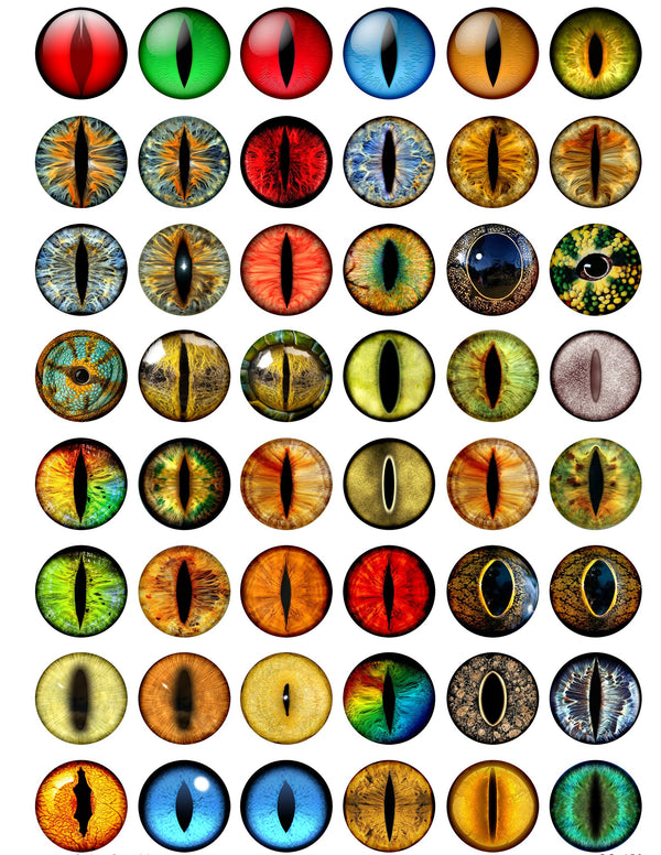 Creature Eye Lollipops 6-piece set by I Want Candy!